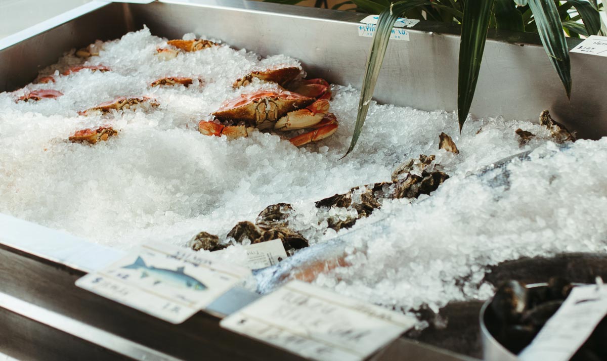 Highest quality is the only option